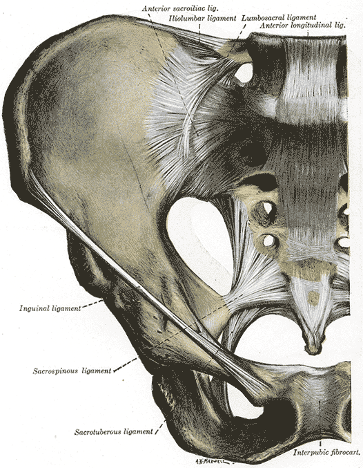 The Unstable Sacro-Iliac Joint (SIJ)